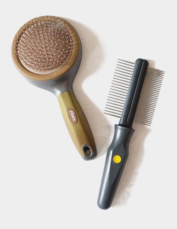 How to Groom Your Sheepadoodle at Home (Tips + Tools)