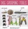 How to Groom Your Sheepadoodle at Home (Tips + Tools)