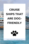 5 of the Best Dog-Friendly Cruises - Travelling With A Dog